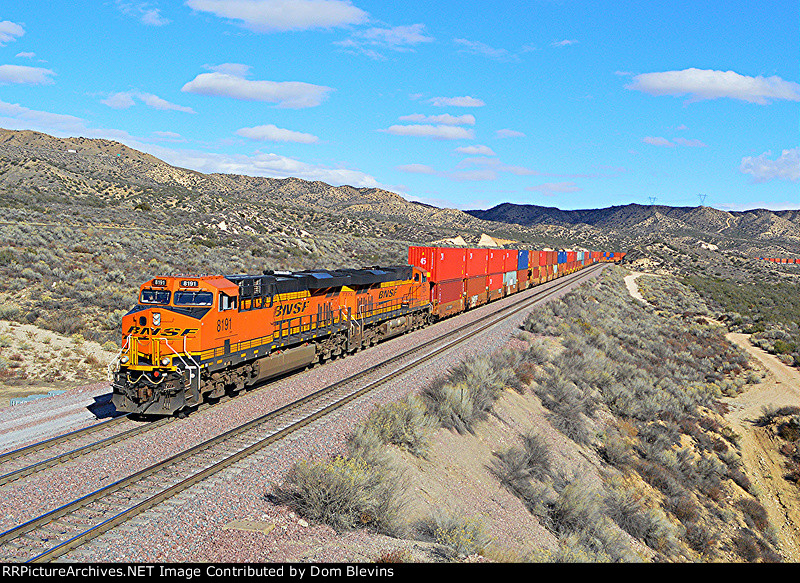 BNSF 8191